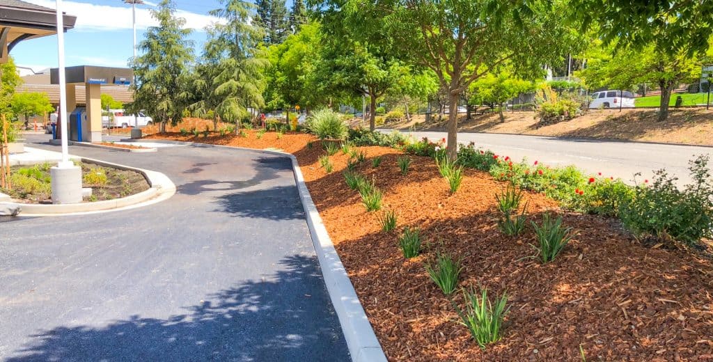 Elk Grove Landscaping - Salens Landscaping - Quality With Concern